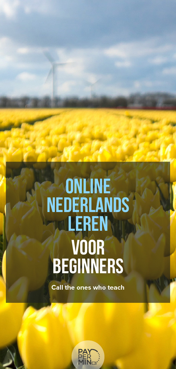 Nederlands leren voor beginners | Bel TheONE